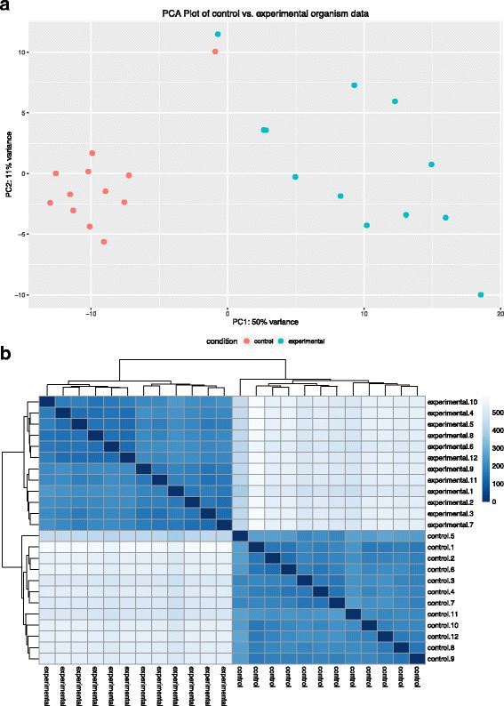 宏转录组和宏基因组_肠道菌群：宏转录组测序分析_weixin_39787628的博客-CSDN博客