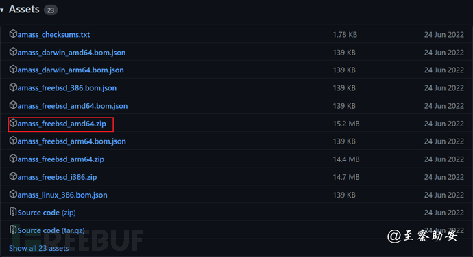 Amass信息收集神器使用指南_amass使用教程-CSDN博客