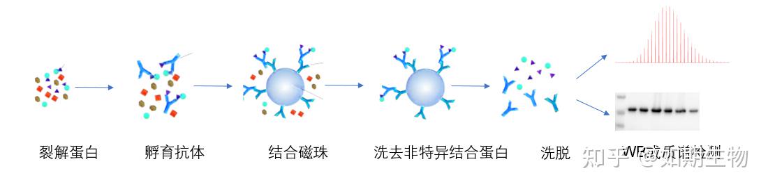 CoIP技术服务_coip技术有哪些应用-CSDN博客