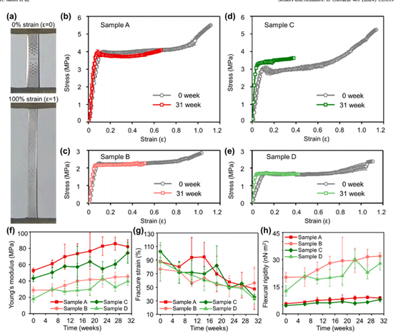 极具应用潜力的ECoG电极：基于PDMS的柔性电极，可用于长期体内记录-CSDN博客