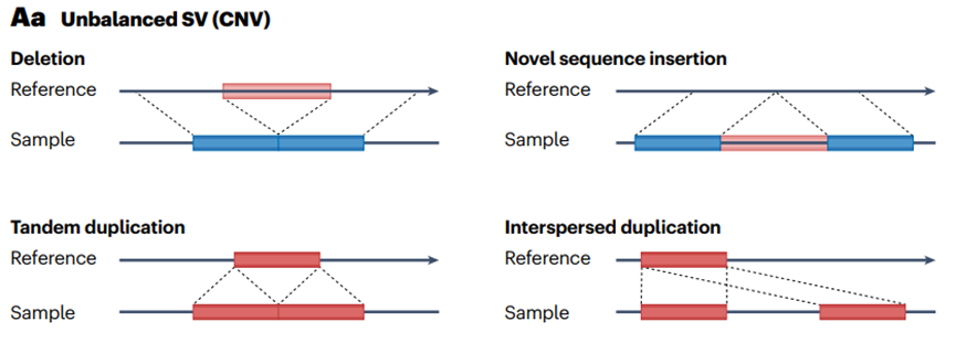 nature reviews genetics | 填补SNP研究空白，CNV-GWAS推动遗传变异全景构建_genome-wide ...