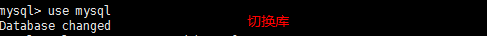 mysql no database selected_数据库中出现no database selected是什么意思？-CSDN博客