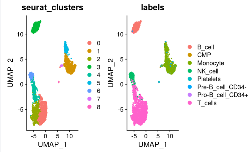 SingleR包注释细胞类型-CSDN博客