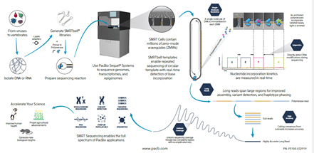NGS测序分类二三代_ngs分类-CSDN博客