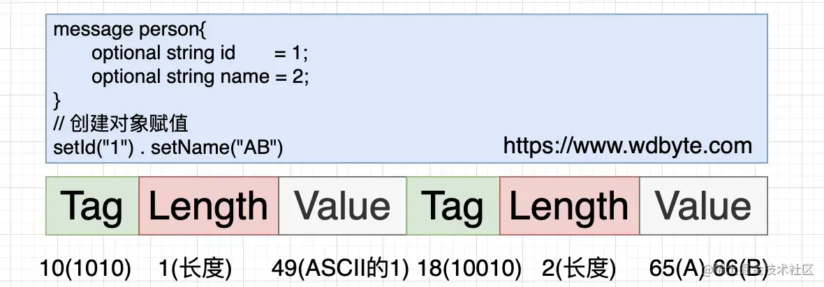 Protobuf: 高效数据传输的秘密武器_protocolbuf-CSDN博客