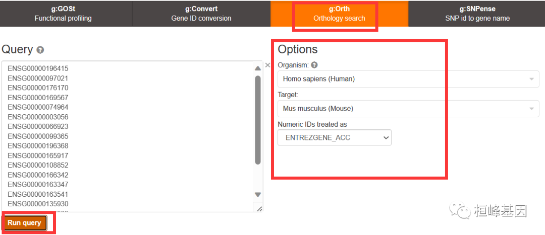 RNA 39. SCI文章中在线基因功能富集分析（g:Profiler）-CSDN博客