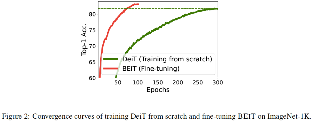 BEiT：图像Transformer的BERT式预训练_beit transformer-CSDN博客