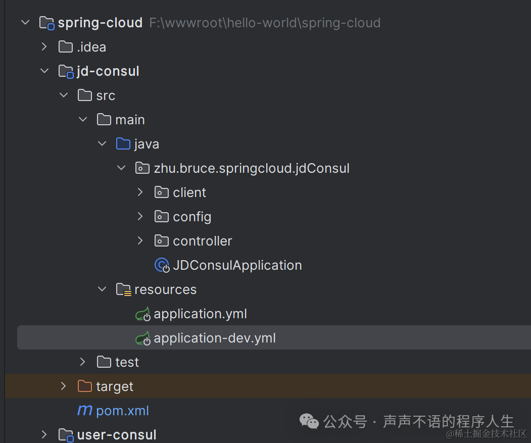 SpringCloud+Consul服务注册+服务发现实战_springcloud consul-CSDN博客