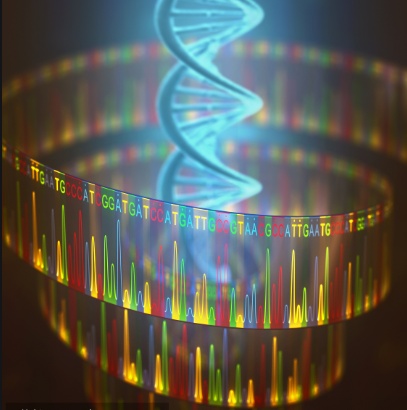 fastq质量值_我要自学生信之生信基础：FASTA 与 FASTQ-CSDN博客