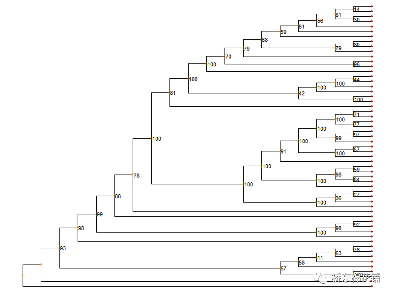 figtree如何编辑进化树_进化树的注释：ggtree_weixin_39747296的博客-CSDN博客