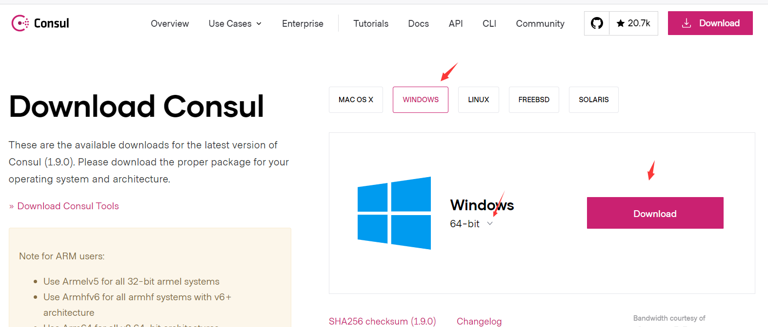 一篇文章带你快速了解Consul，实战consul注册中心_一篇搞懂 consul-CSDN博客
