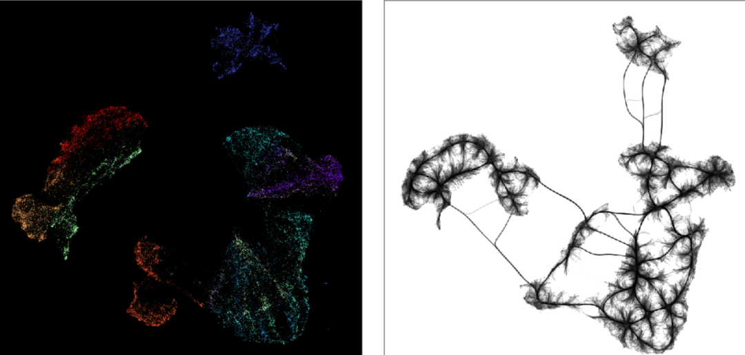【机器学习】UMAP：强大的可视化&降维工具-CSDN博客