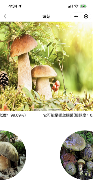 基于卷积神经网络的蘑菇识别微信小程序 Csdn博客
