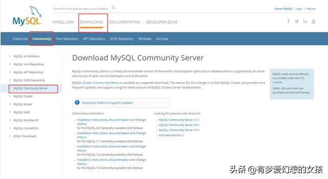 mysql安装check requirements出错_超详细的MySQL8.0.17版本安装教程-CSDN博客