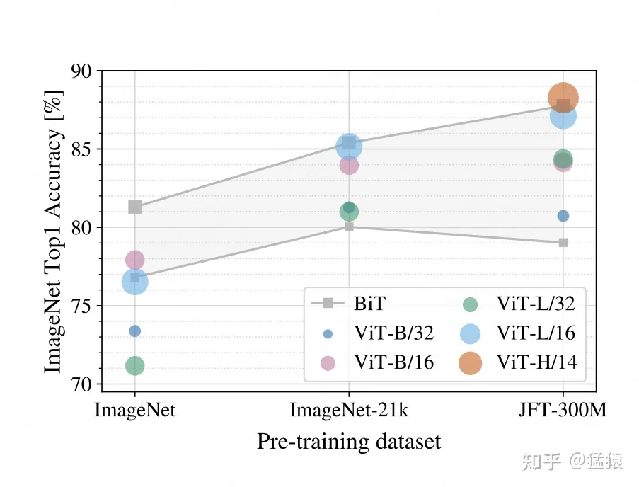 ViT实现细节-CSDN博客