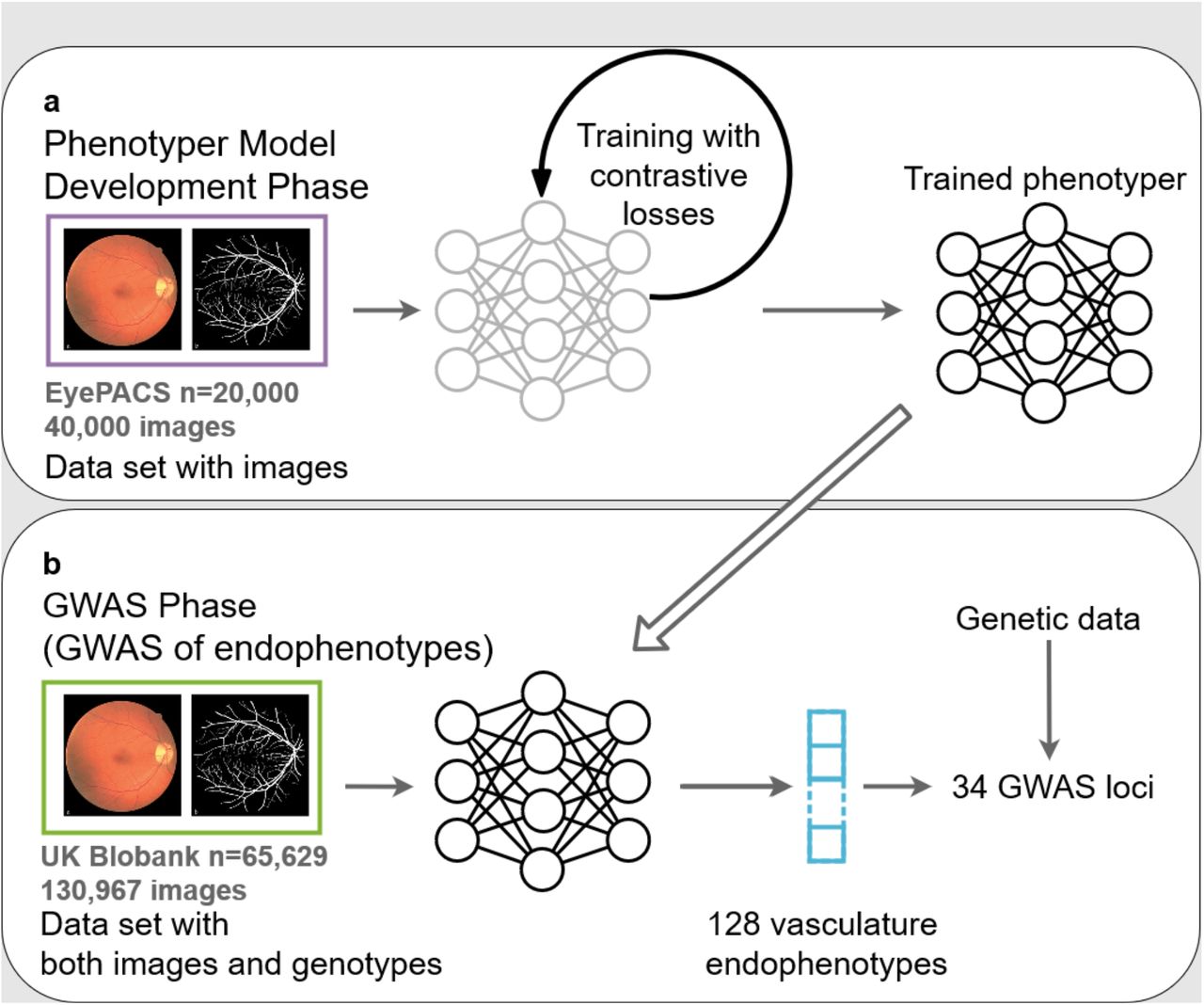 iGWAS文献总结---图像GWAS的自监督学习表示_gwas改进-CSDN博客