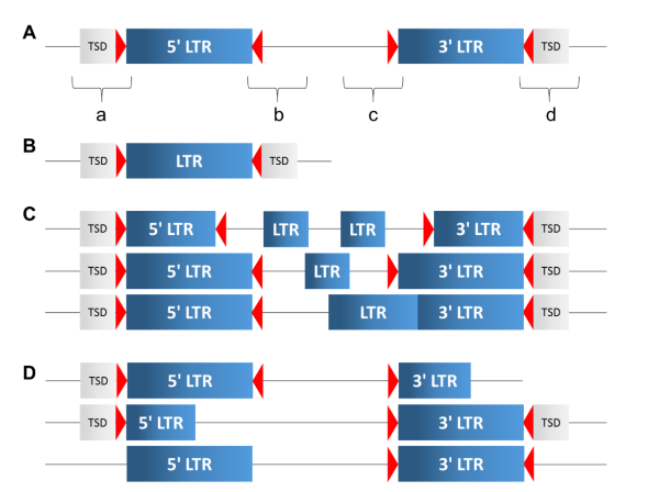 LTR_retriever: 一个更加准的LTR整合分析工具-CSDN博客