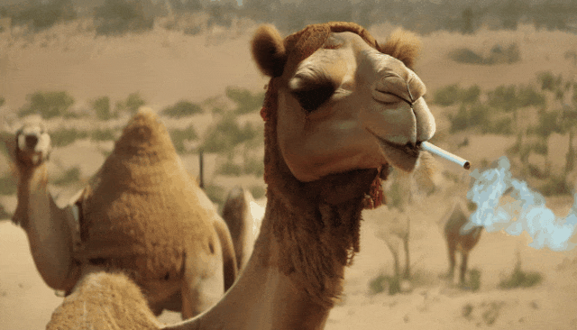 最新，可控视频生成：Hotshot-XL-CSDN博客