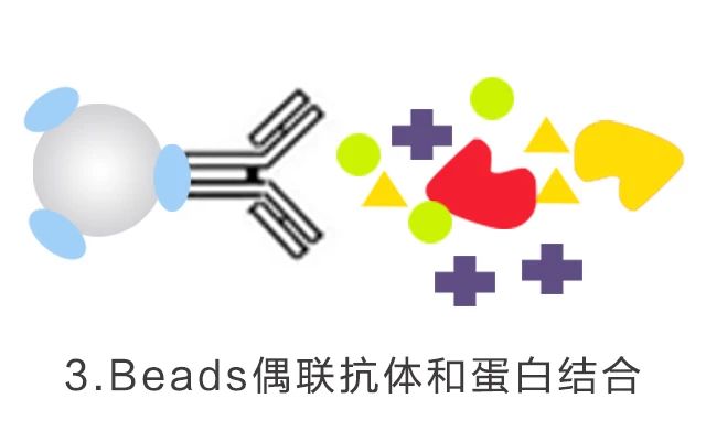 一文读懂CoIP实验：原理、实验流程、遇到的问题-CSDN博客