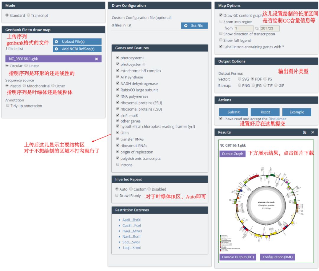 线粒体和叶绿体的基因组特点_叶绿体/线粒体在线注释网站GeSeq使用简介-CSDN博客