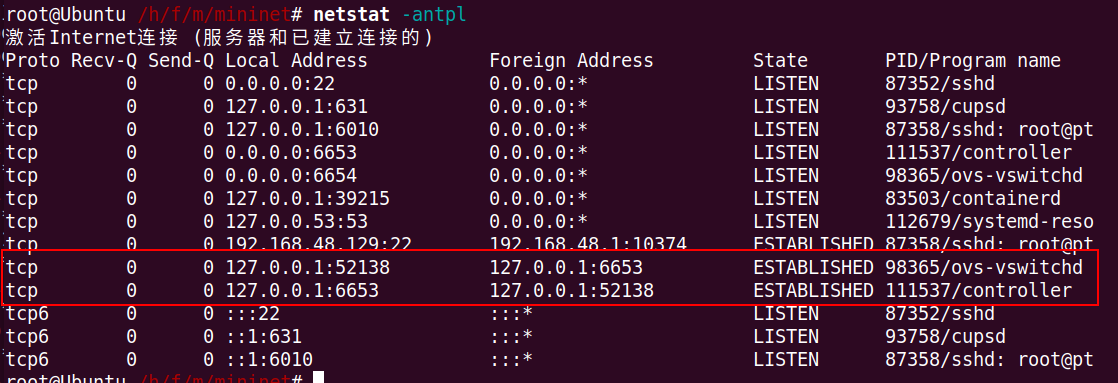 Mininet基础 Csdn博客