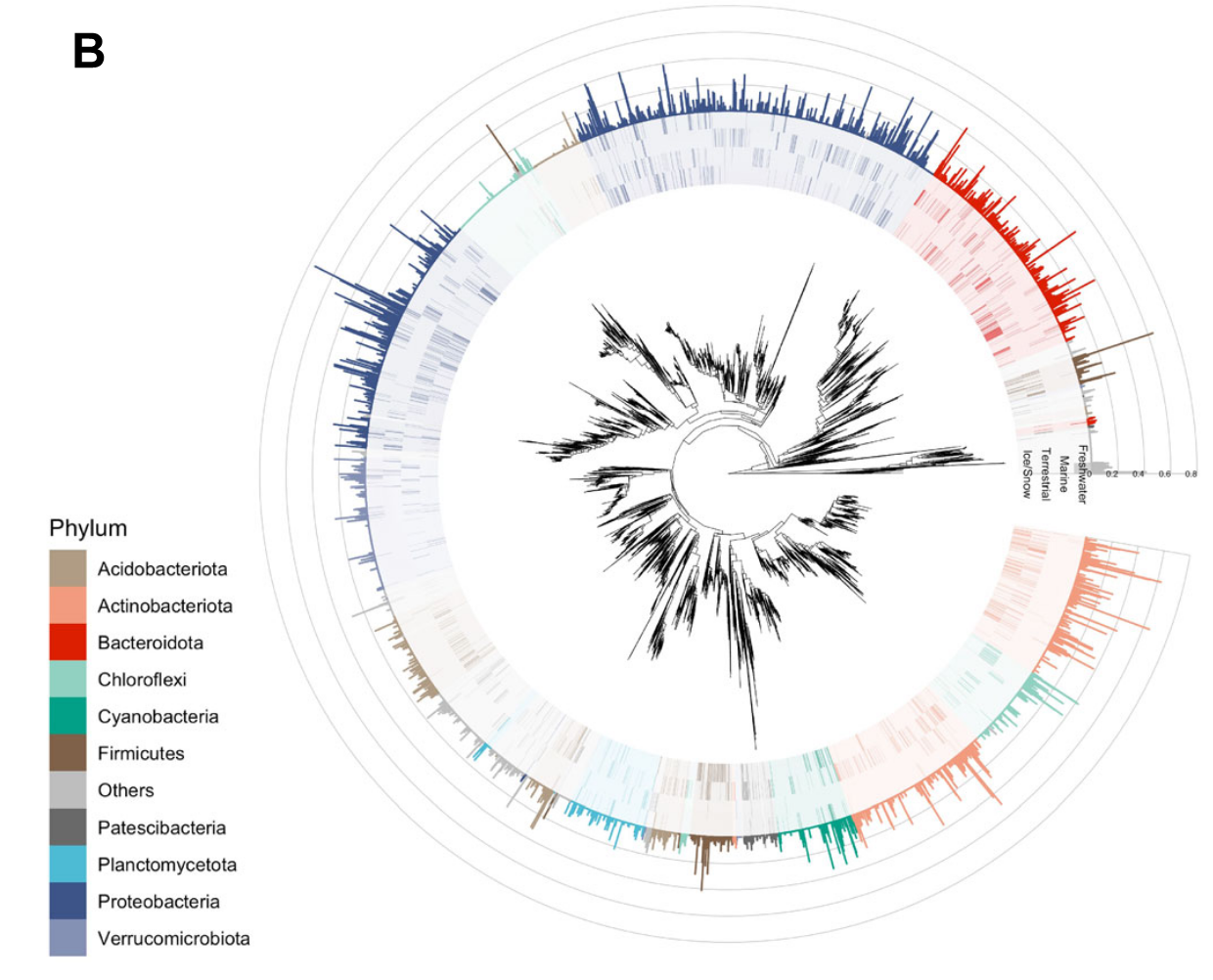 R绘制优美的进化树（进阶）_r进化树代码-CSDN博客