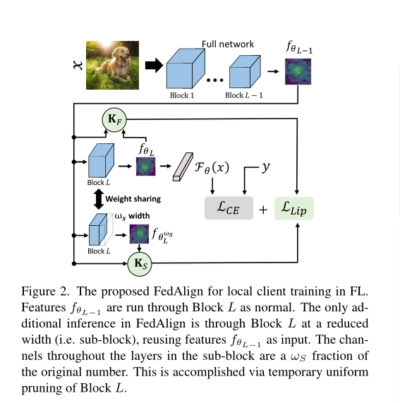 Local Learning Matters: Rethinking Data Heterogeneity in Federated Learning局部学习很重要！-CSDN博客