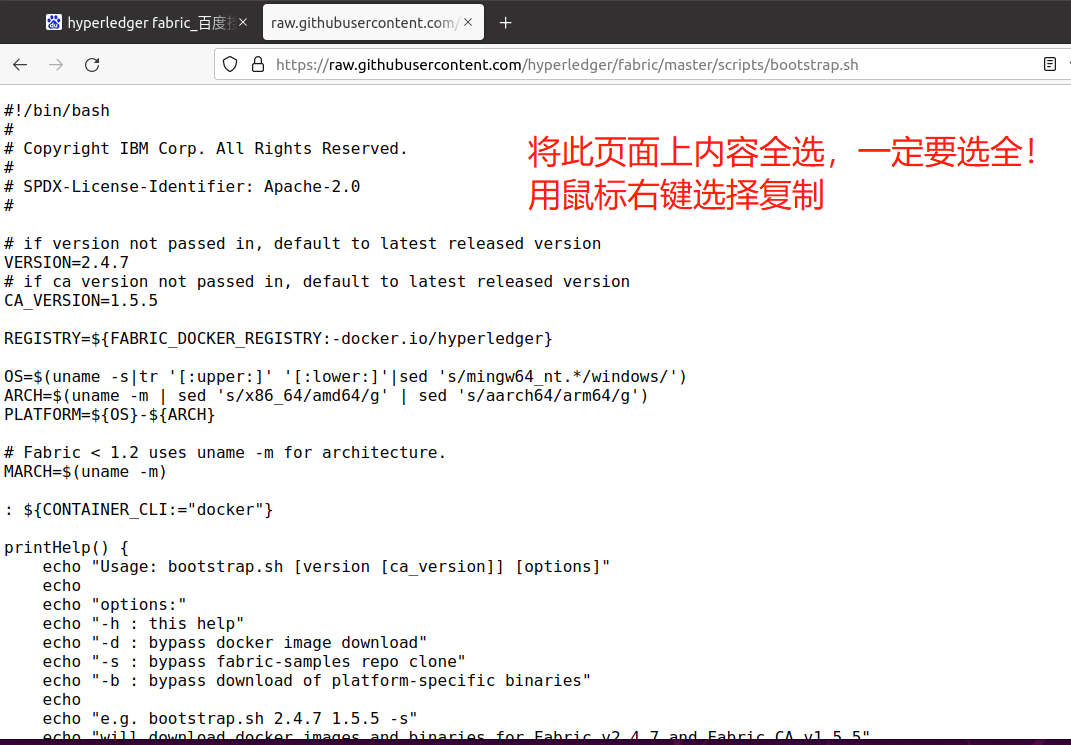 fabric 环境快速搭建--Ubuntu20.04系统下使用fabric官方脚本搭建_hyperleader fabric 环境搭建2024 ...