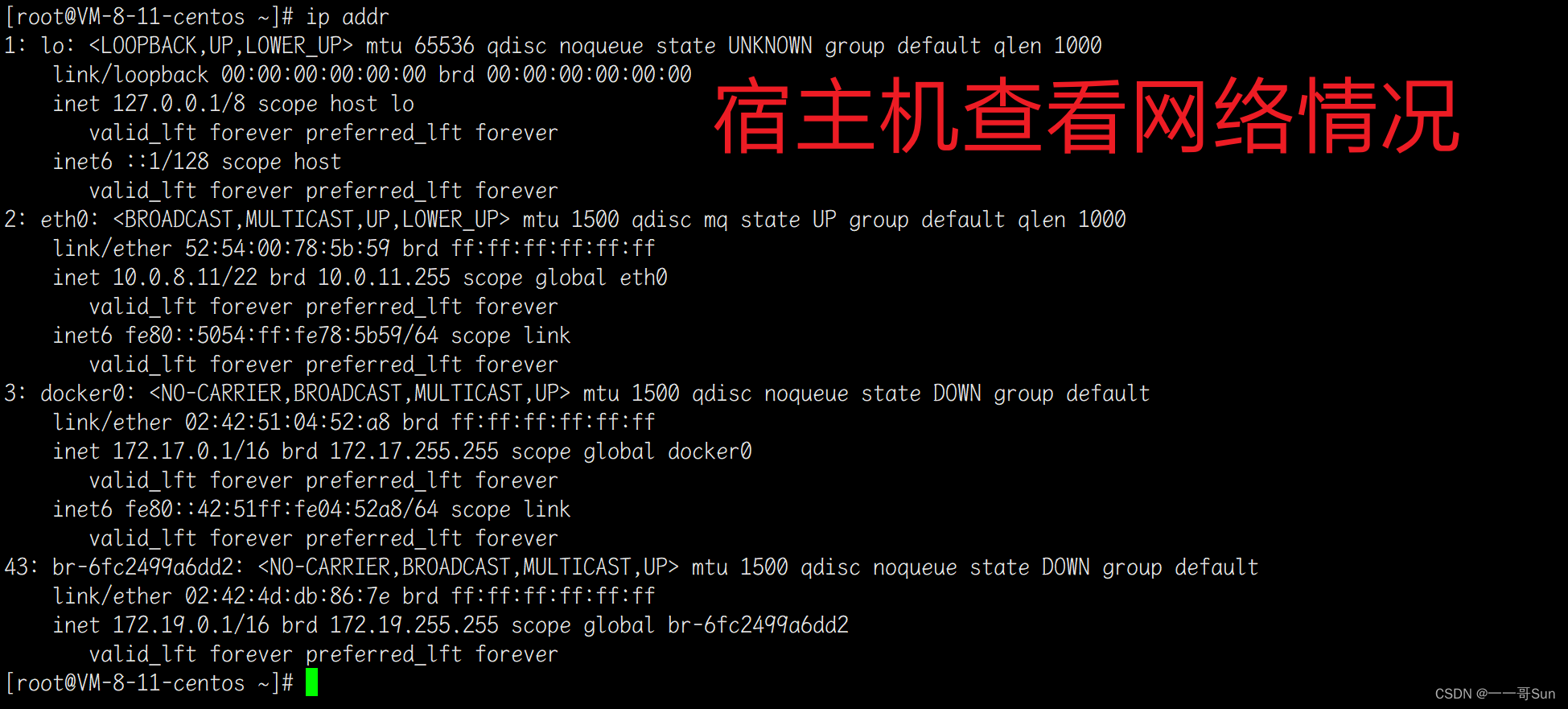 Docker网络配置再学习之Host和none模式_docker host-CSDN博客