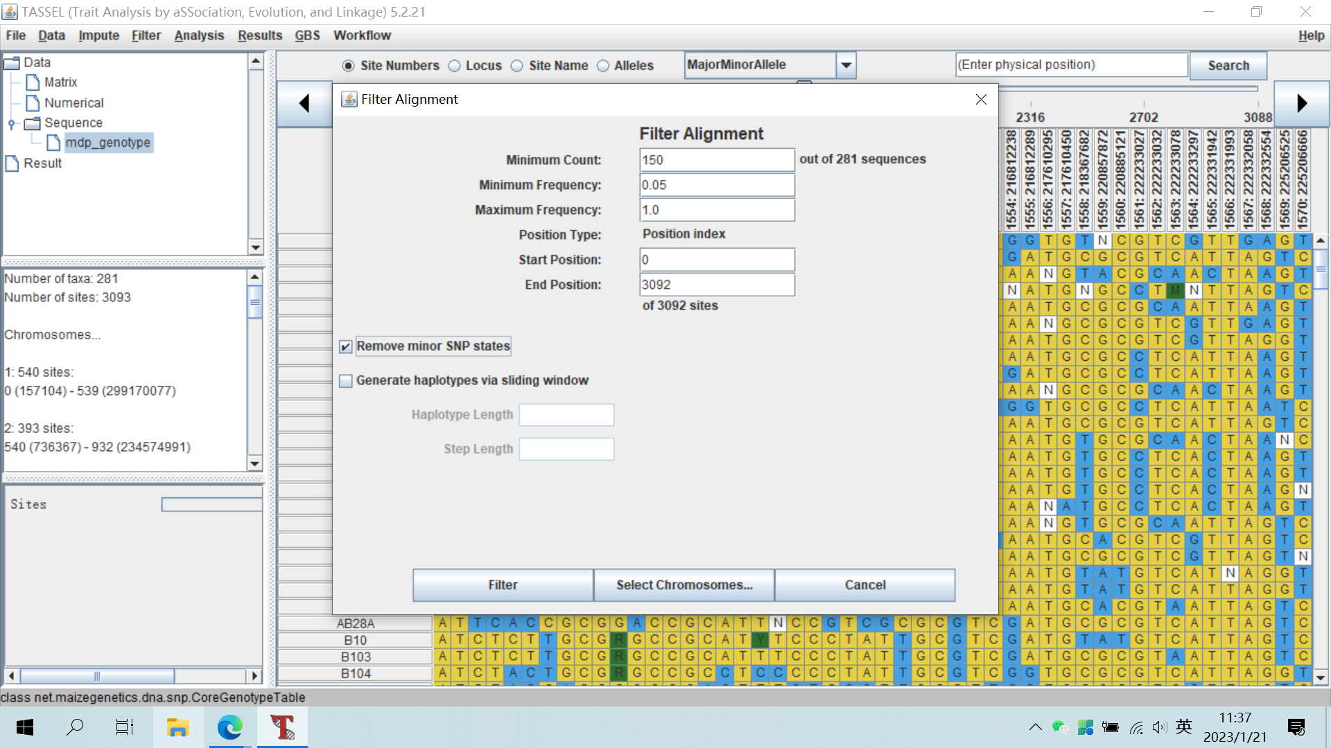 TASSEL5进行GWAS中亲缘关系的估计_tassel亲缘关系分析-CSDN博客