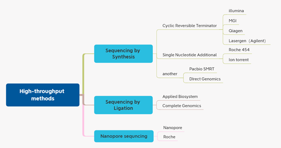 NGS测序分类二三代_ngs分类-CSDN博客