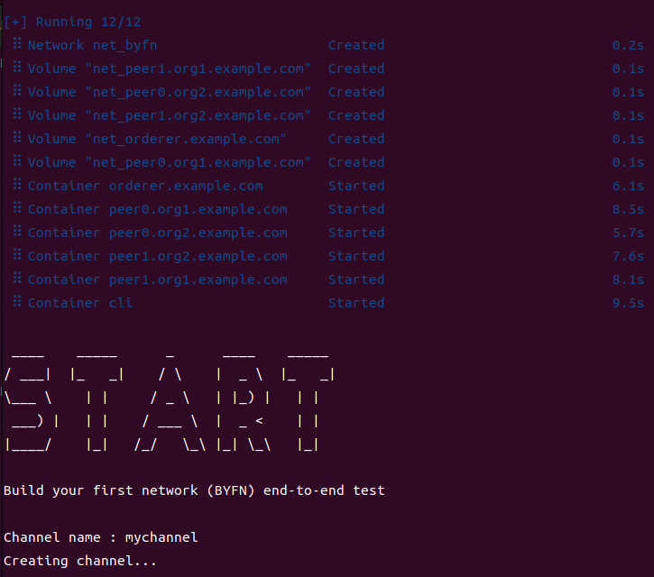 error getting endorser client for channel: endorser client failed to connect to peer1.org1 ...