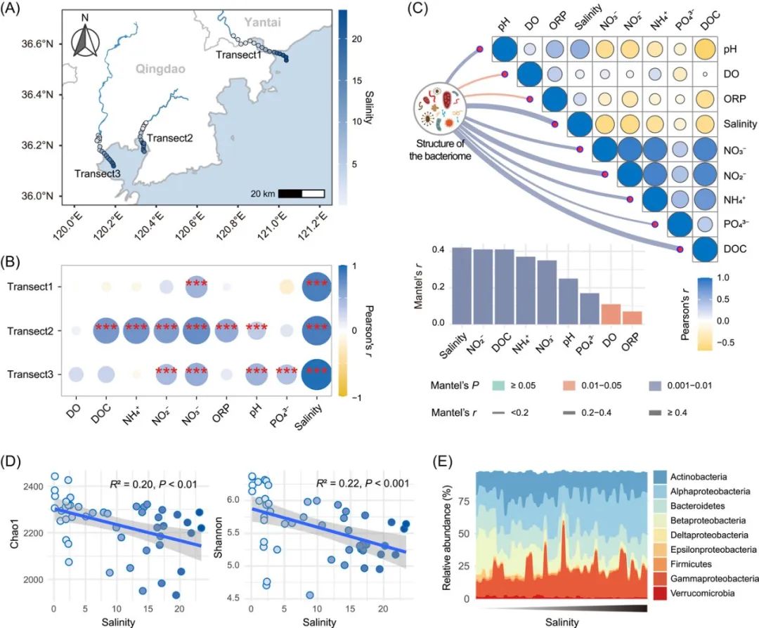 跟着iMeta学做图 | 冲击图展示菌群随盐度的变化-CSDN博客