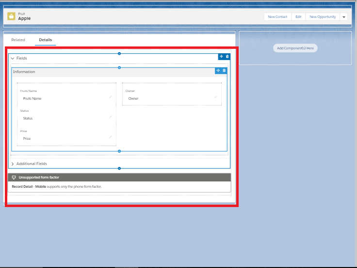 Salesforce Dynamic Forms_salesforce中component visibility-CSDN博客