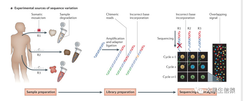 （转载）实用干货—解惑NGS可能引入的错误突变_生信分析低频突变原因-CSDN博客