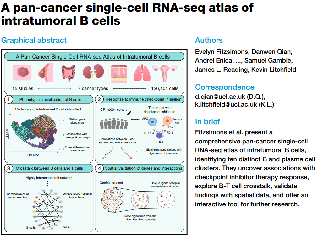 Cancer Cell | 泛癌种单细胞RNA测序图谱：肿瘤内B细胞_jchain-CSDN博客