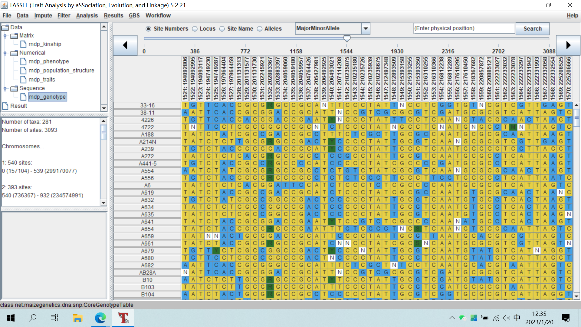 Windows版TASSEL5的下载及安装_tassel下载-CSDN博客