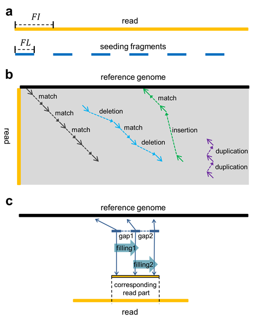 LAMSA：快速高效的三代序列比对算法_gem比对-CSDN博客
