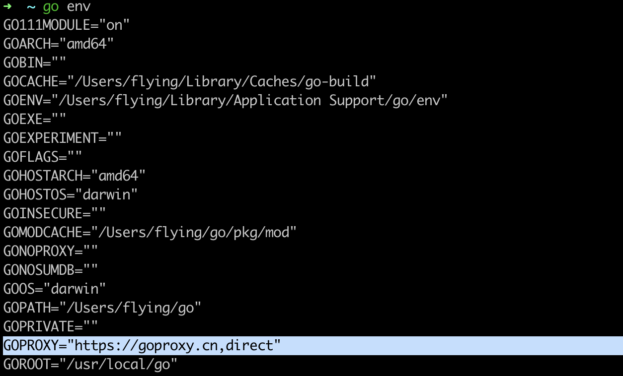 为何配置了GOPROXY却莫名其妙无效？_go设置代理无效-CSDN博客