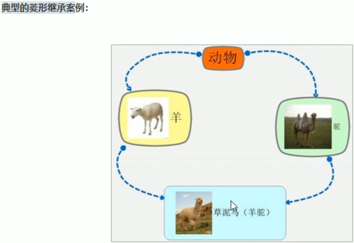 C 菱形继承的实现 Csdn博客