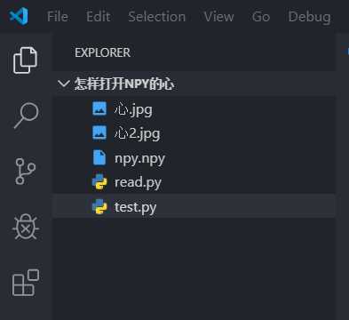 .npy文件_怎样才能打开npy的心？-CSDN博客