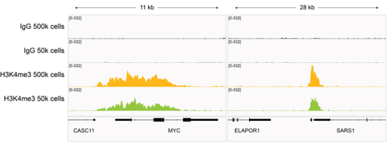 H3K4me3 Antibody, SNAP-Certified™ for CUT&RUN and CUT&Tag_tracks of h3k4me3 peaks-CSDN博客