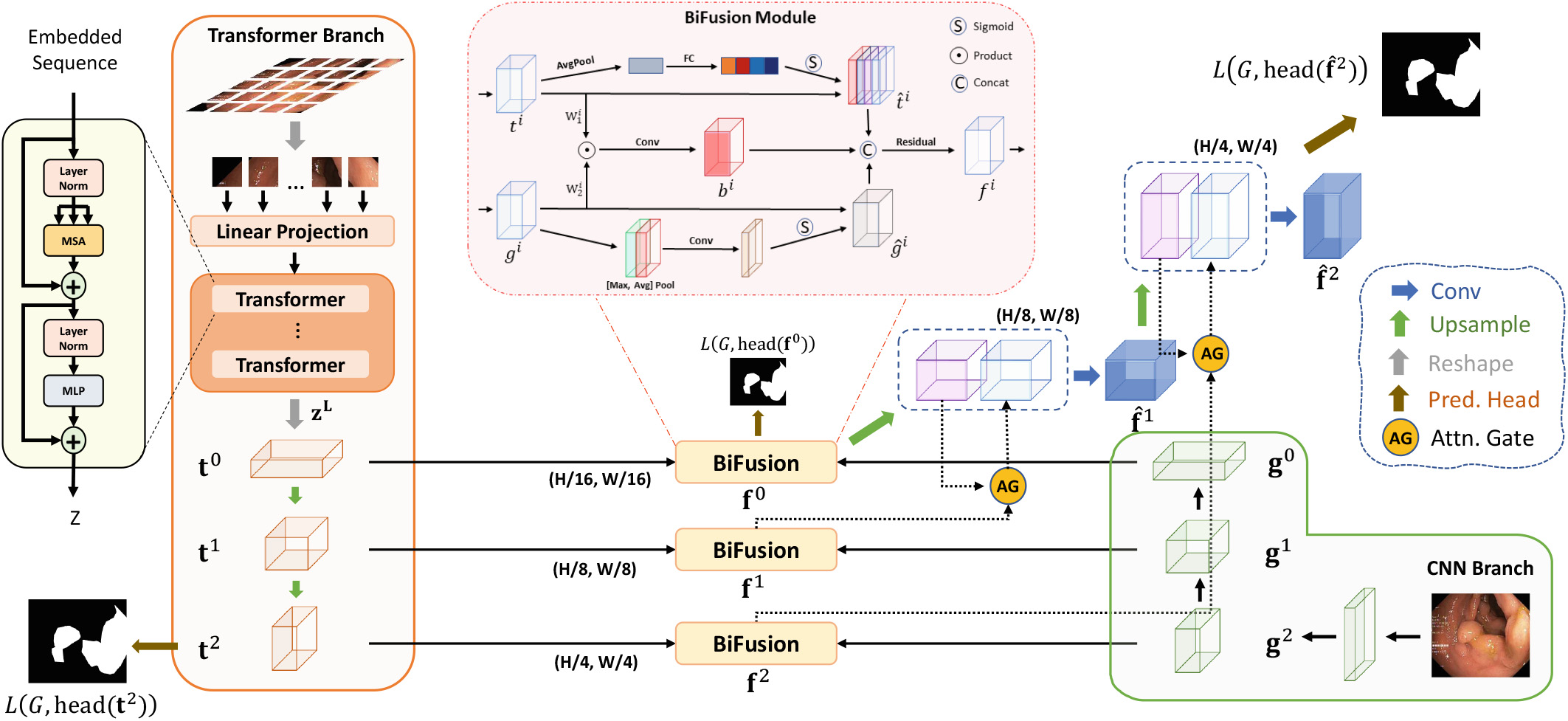 【医学图像处理】融合 Transformer 和 CNN 进行医学图像分割_cnn-transformer图像分割-CSDN博客
