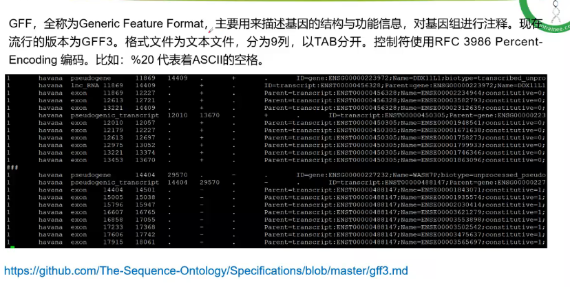 生物信息学常见数据格式 • fasta • fastq • gff/gtf_生物信息学序列格式-CSDN博客