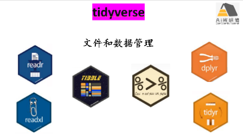 R语言结构方程模型（SEM）在生态学领域中的实践_结构方程模型和matel检验-CSDN博客