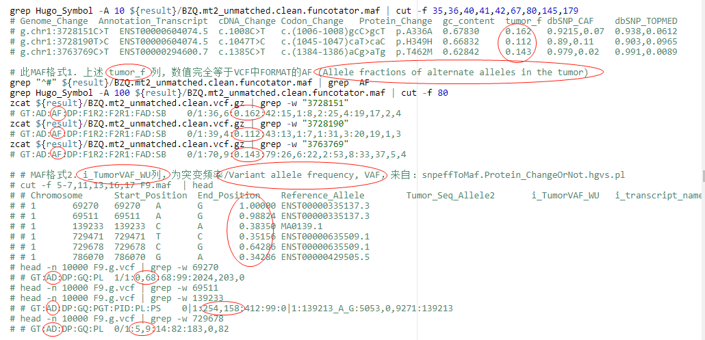 VCF vs Maf | 变异注释及整理为Maf格式-CSDN博客
