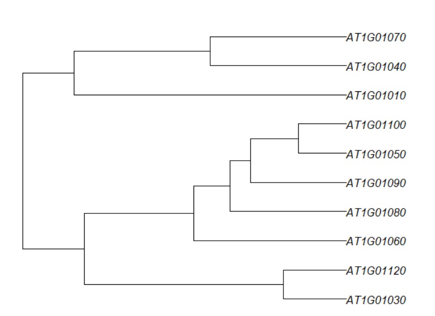 Matlab 聚类分析 画出聚类树plot单独画出pheatmap返回的聚类结果（聚类树）何普的博客 Csdn博客