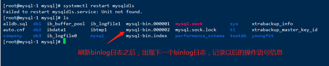 Mysql的逻辑备份与物理备份数据库运维 备份物理和逻辑 Csdn博客 