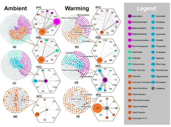GCB微生物分类层级网络重现-CSDN博客